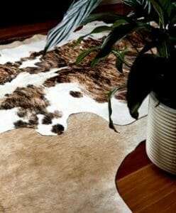 Step-by-step On How To Clean A Cowhide Rug