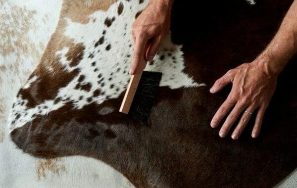 Step-by-step On How To Clean A Cowhide Rug