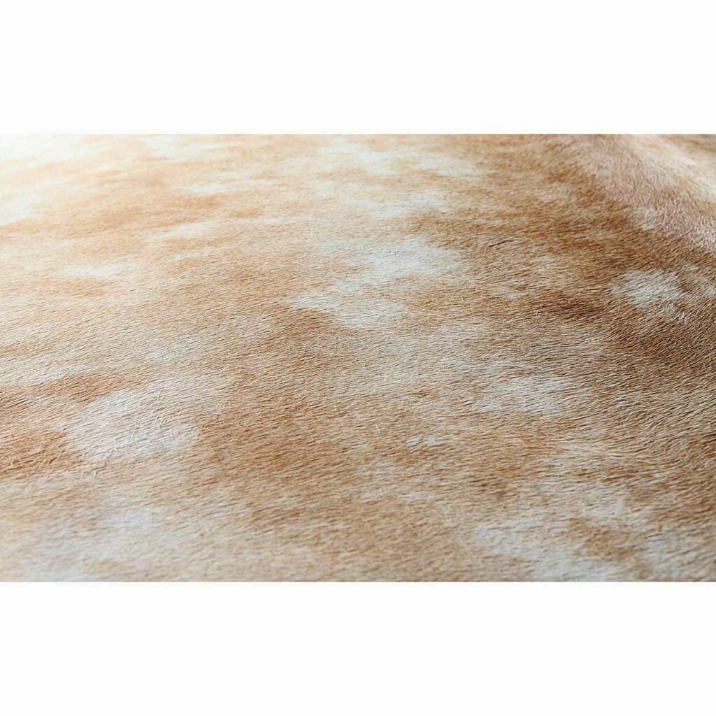 Speckled Beige Cowhide Rug 197 X 163 Cm - Bagé Home